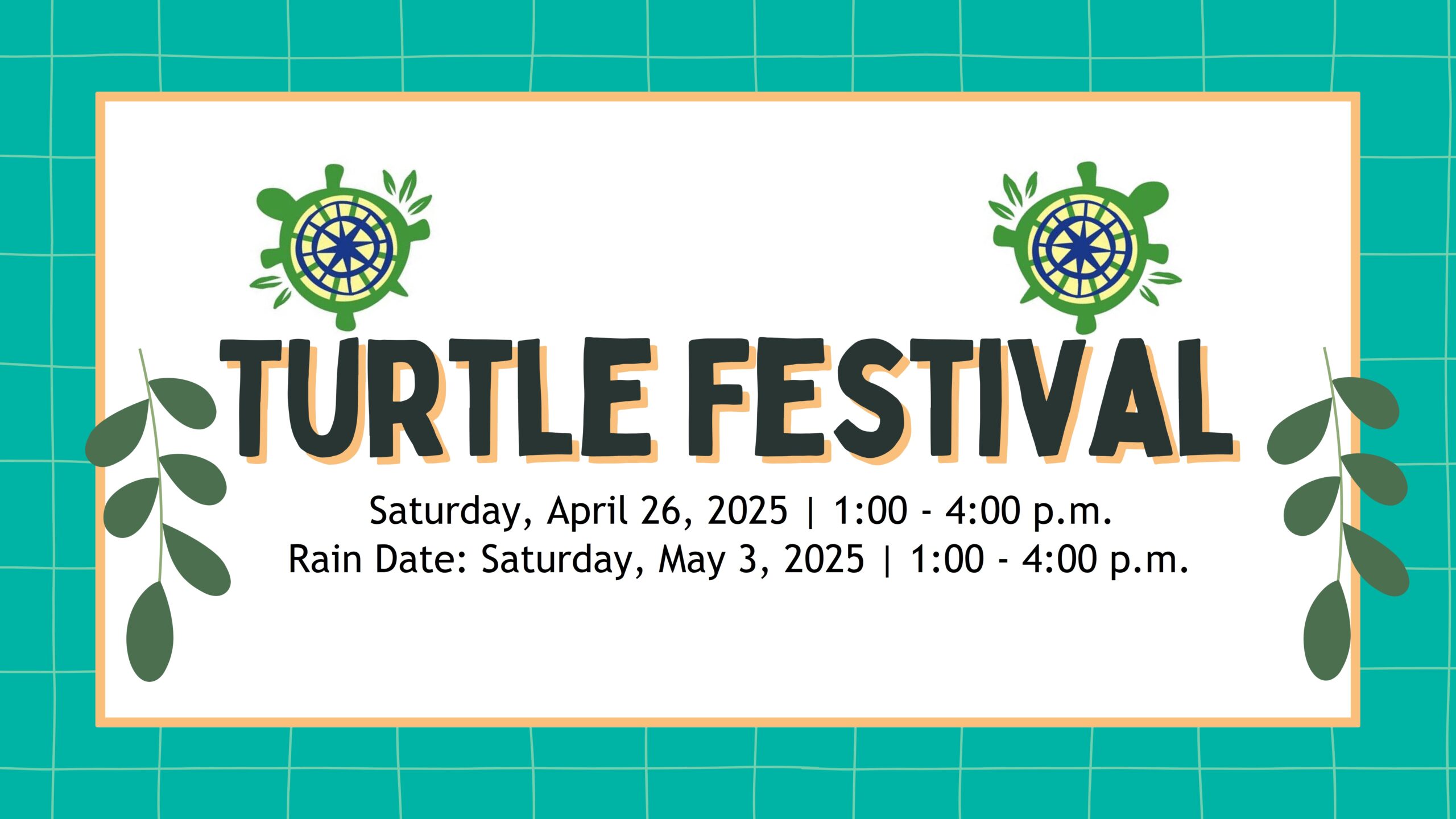 Turtle Festival 2025 - Campbell